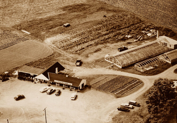 A Century of Growth at Adams Fairacre Farms - Valley Table