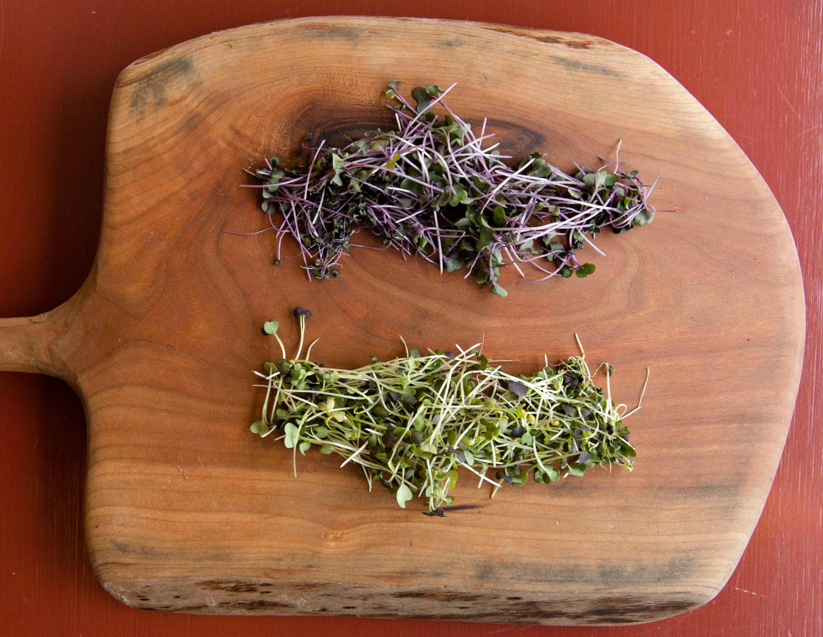 Macro Micro - Valley Table