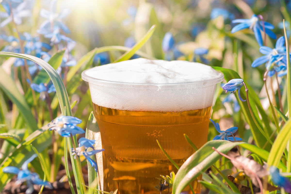 Spring Beer: The IPAs & Sours We're Sipping in the Hudson Valley ...