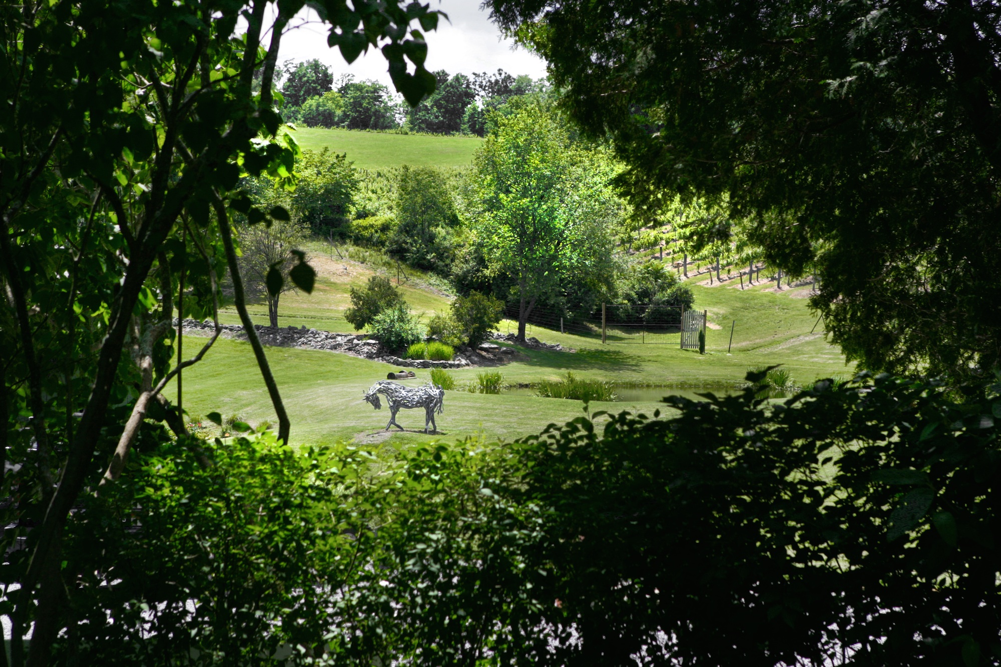Phyllis Feder of Clinton Vineyards - Valley Table