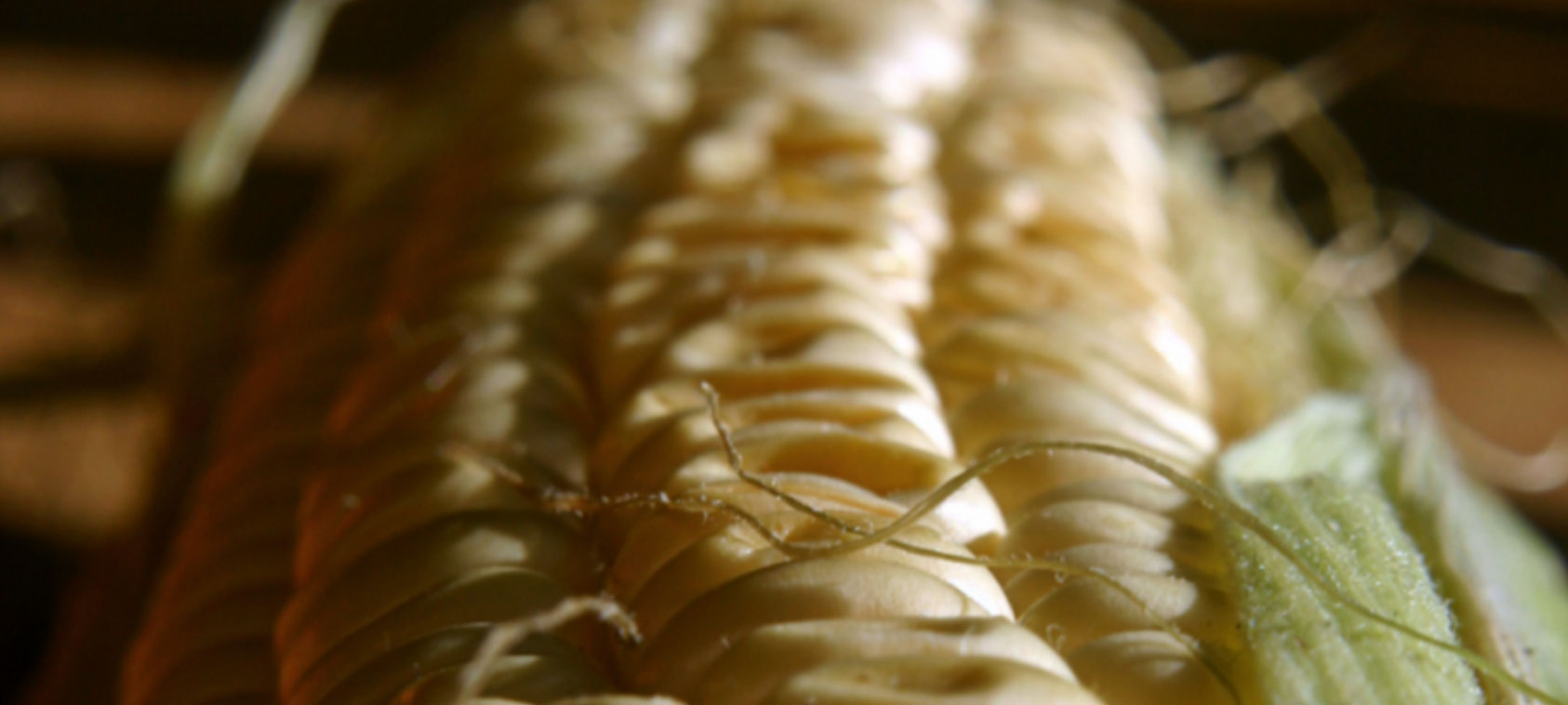 Corn, High as an Elephant's Eye - Valley Table