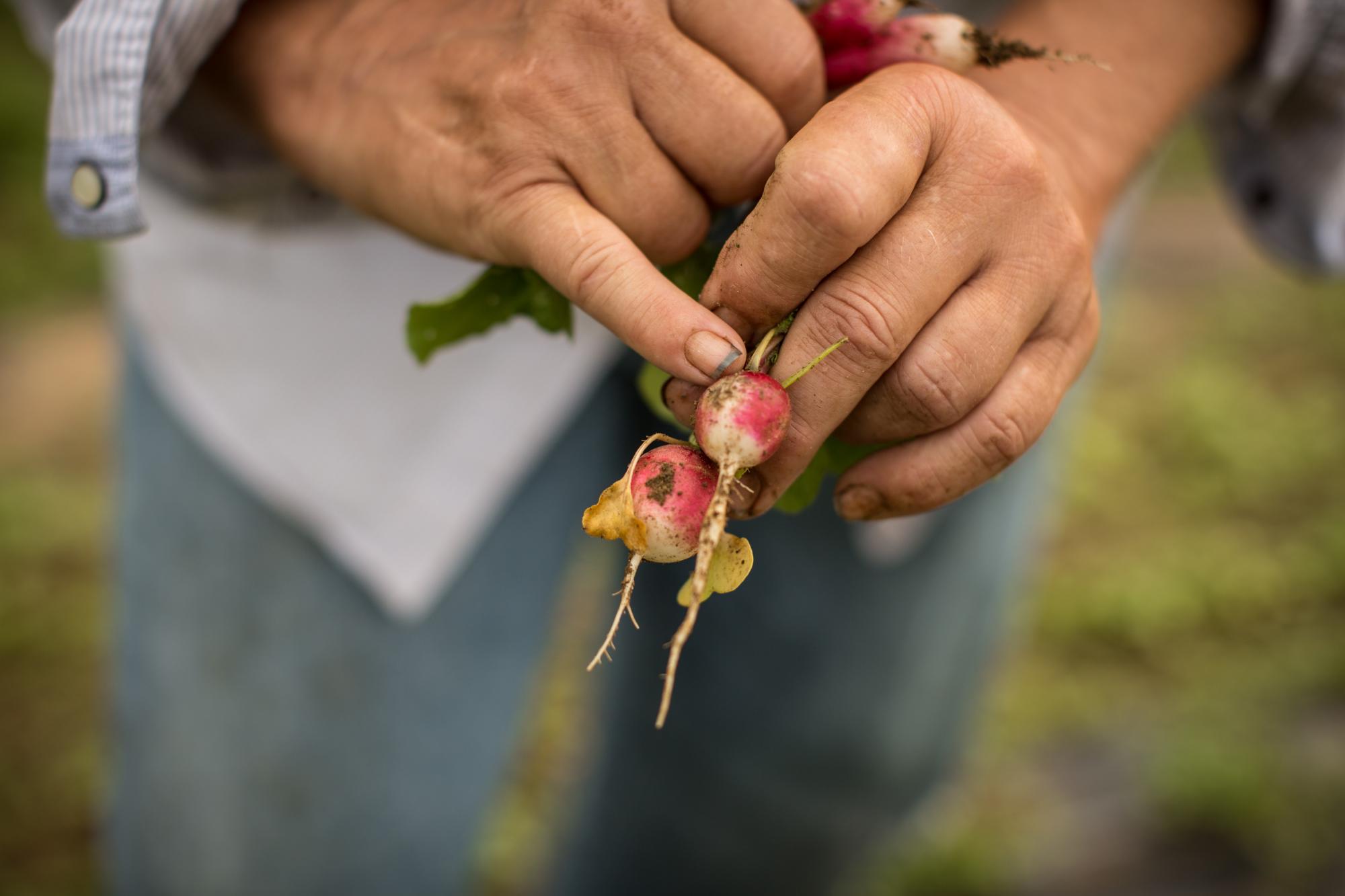 Mimi Edelman & Jeremy McMillan - Valley Table