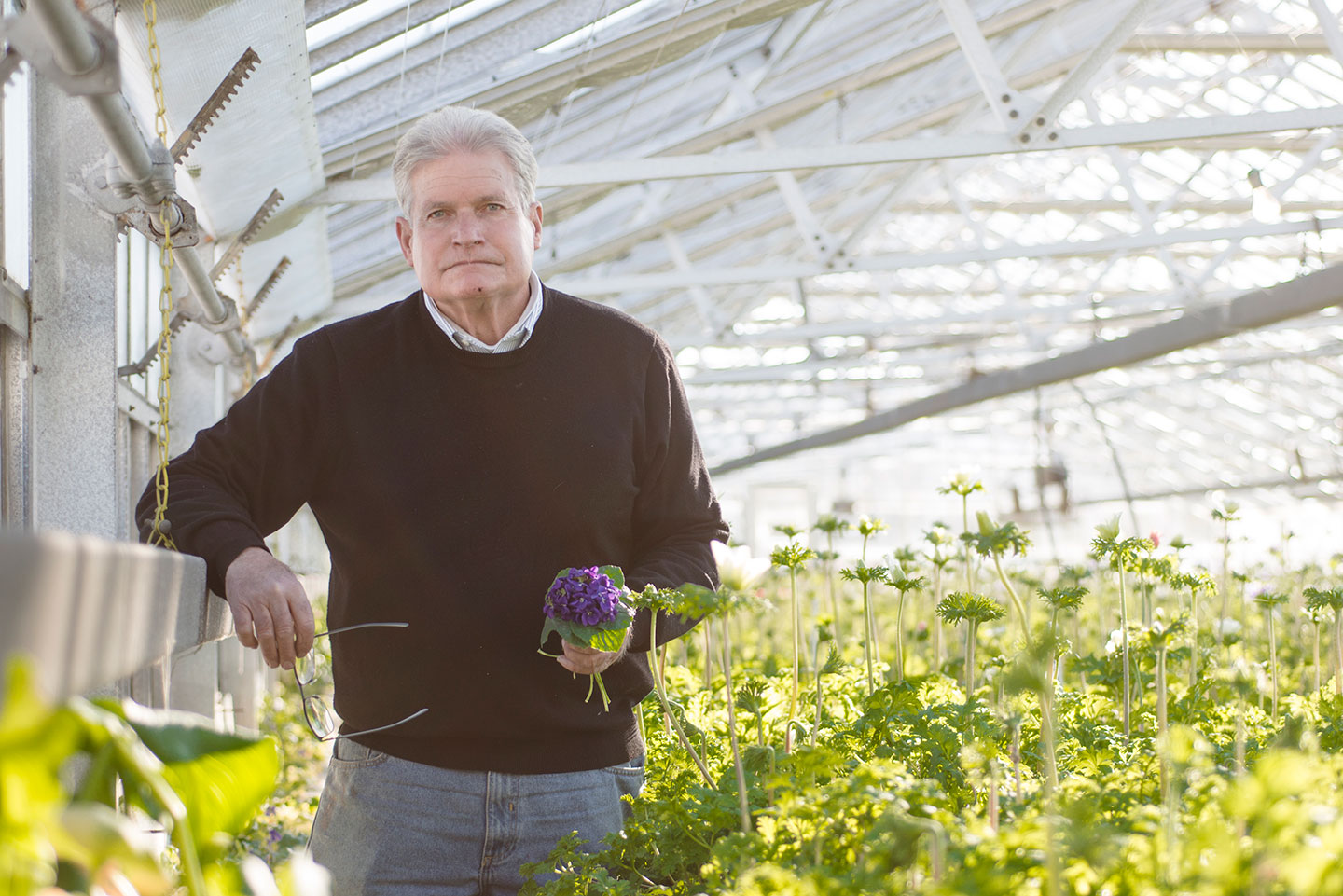 The Last Violet Man - Valley Table