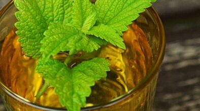 Lemon Balm Brandy - Valley Table