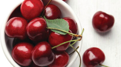 Where to Go Cherry Picking in the Hudson Valley